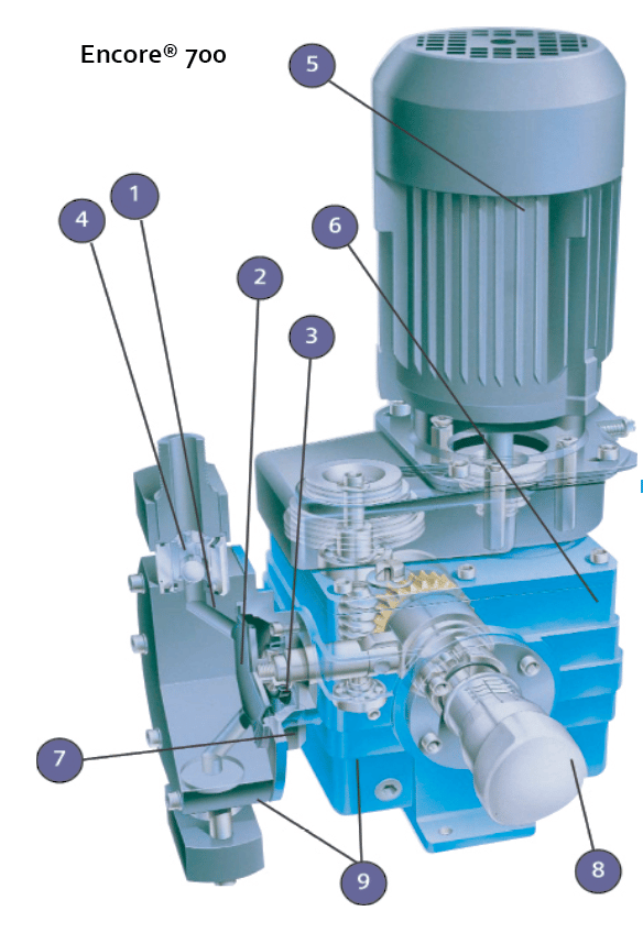 Encore® Pumps